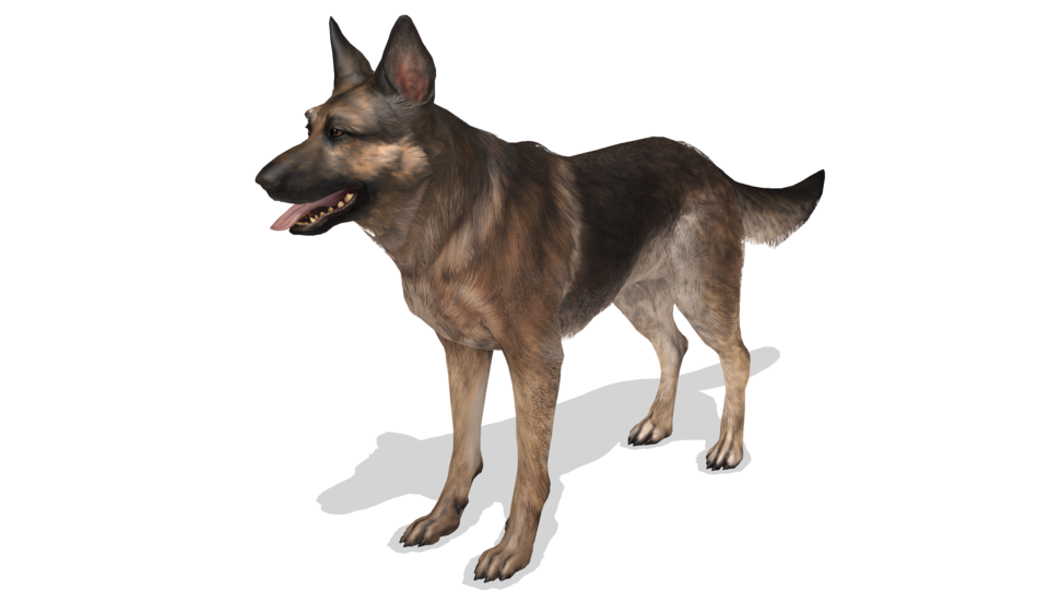 【MMD】犬 - DOG - BowlRoll